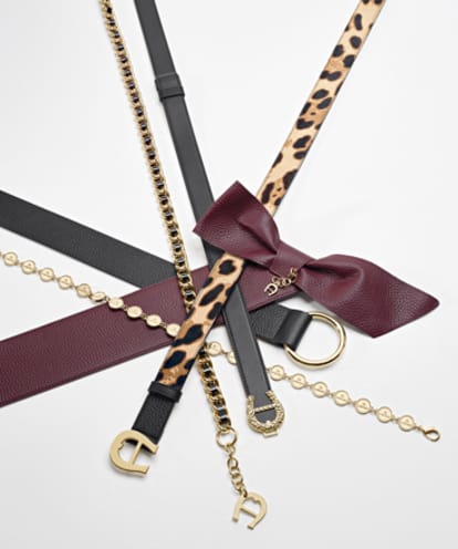 Luxury leather goods, fashion and accessories - AIGNER